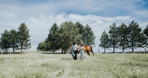 The Back Forty Story - Back Forty Building Co.